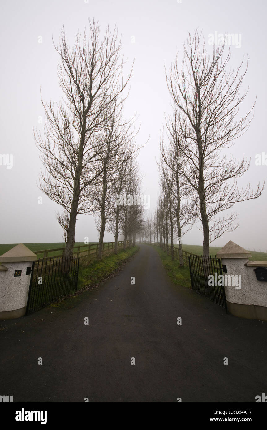 Private driveway hi-res stock photography and images - Alamy