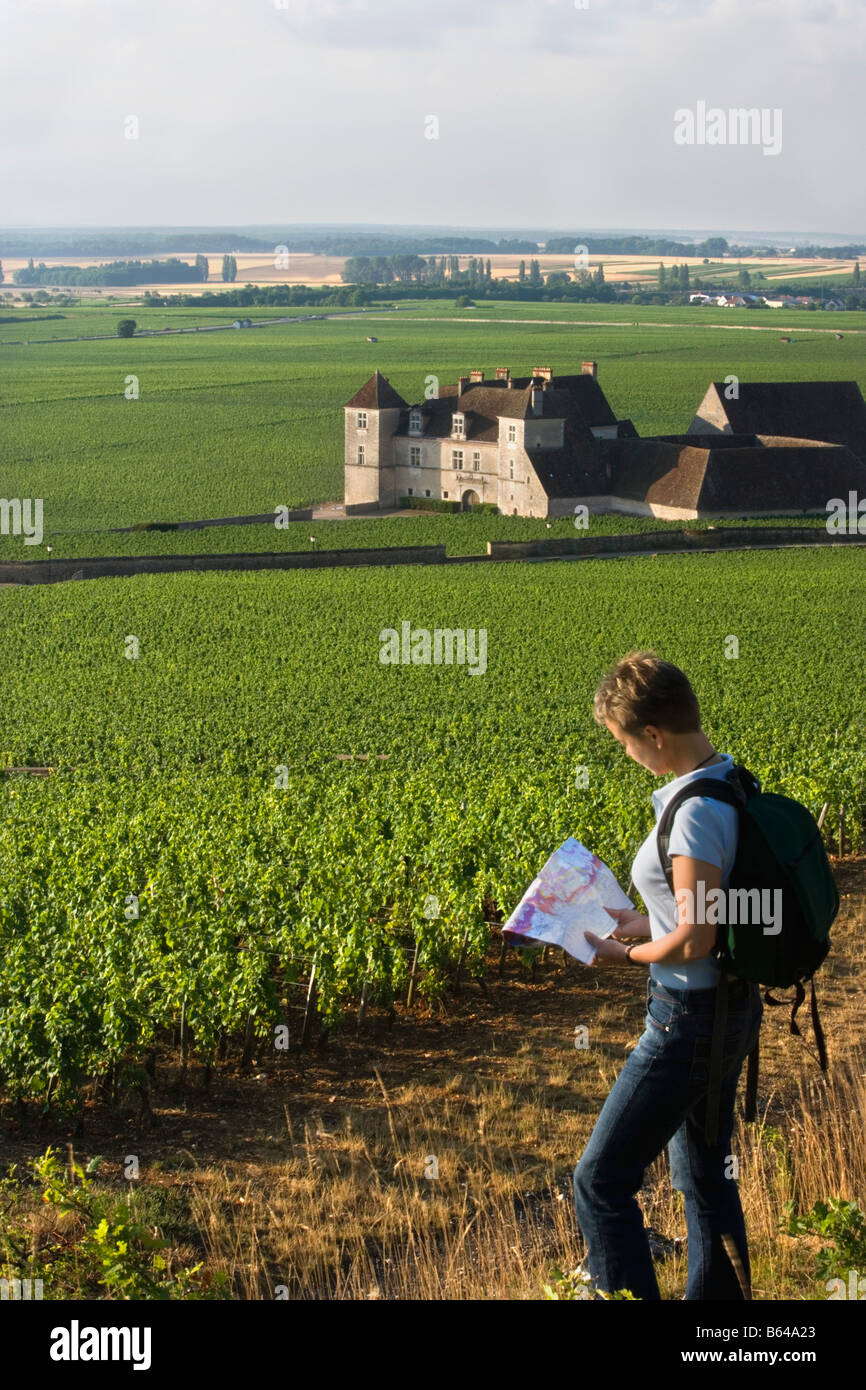 France, near Beaune, Burgundy, Castle Clos de Vougeot, Hiker, Woman ...