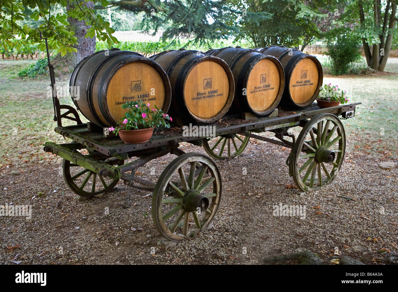 Wine barrels burgundy france hi-res stock photography and images - Alamy