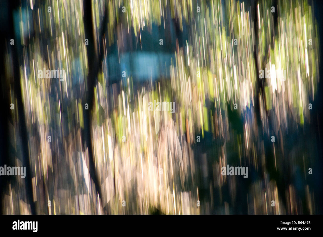 Creative tree art hi-res stock photography and images - Alamy