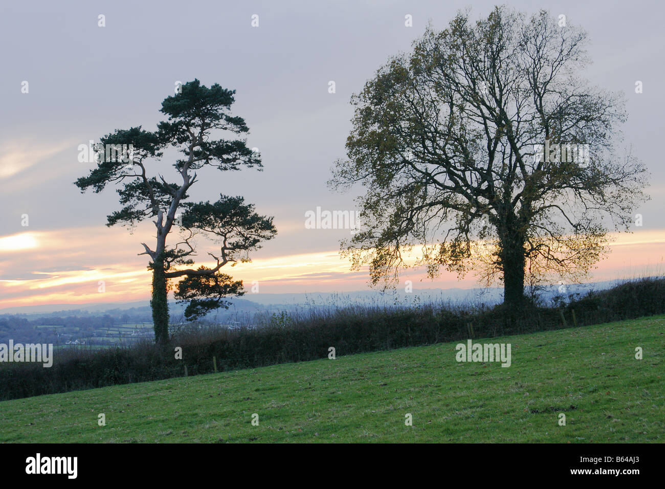 Upper Culm Valley Blackdown Hills Devon winter sunset Stock Photo - Alamy