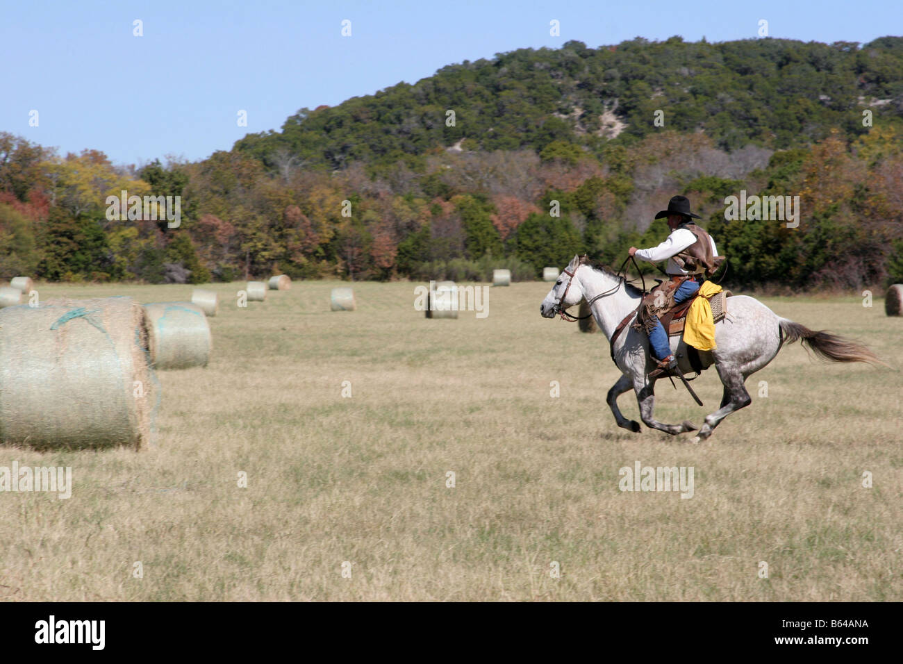 Cowboy riding horse full gallop hi-res stock photography and images - Alamy