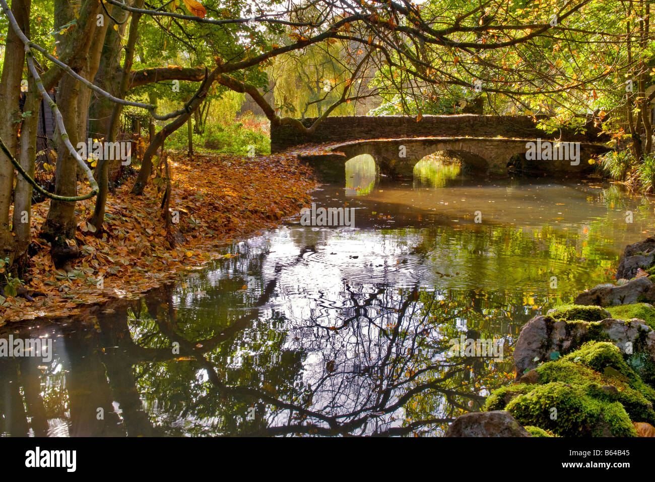 Autumn scene at the river hi-res stock photography and images - Alamy