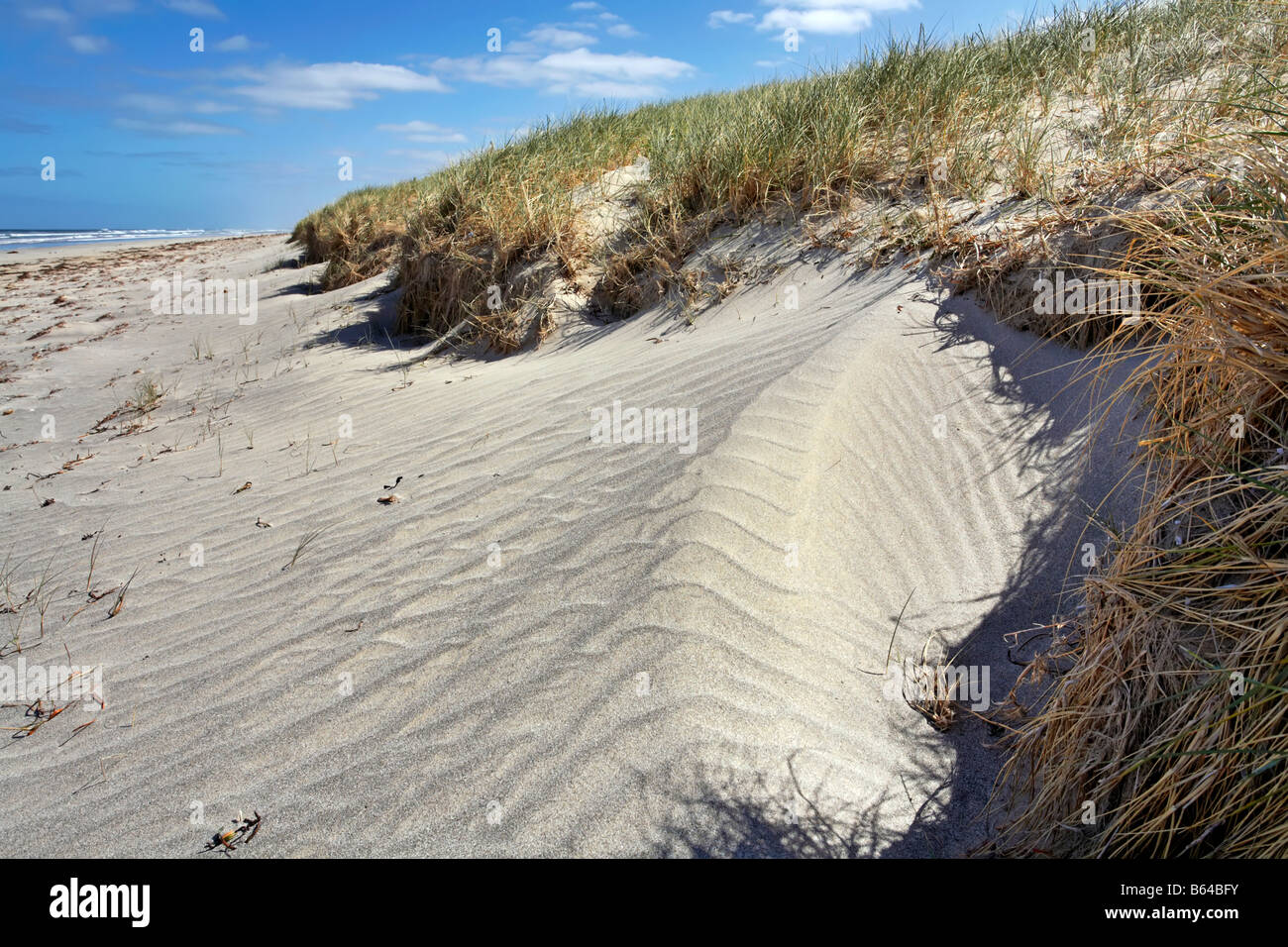 Sand with ripples hi-res stock photography and images - Alamy