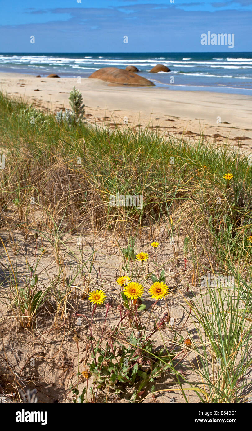 The Granites Kingston Limestone Coast South Australia Stock Photo - Alamy
