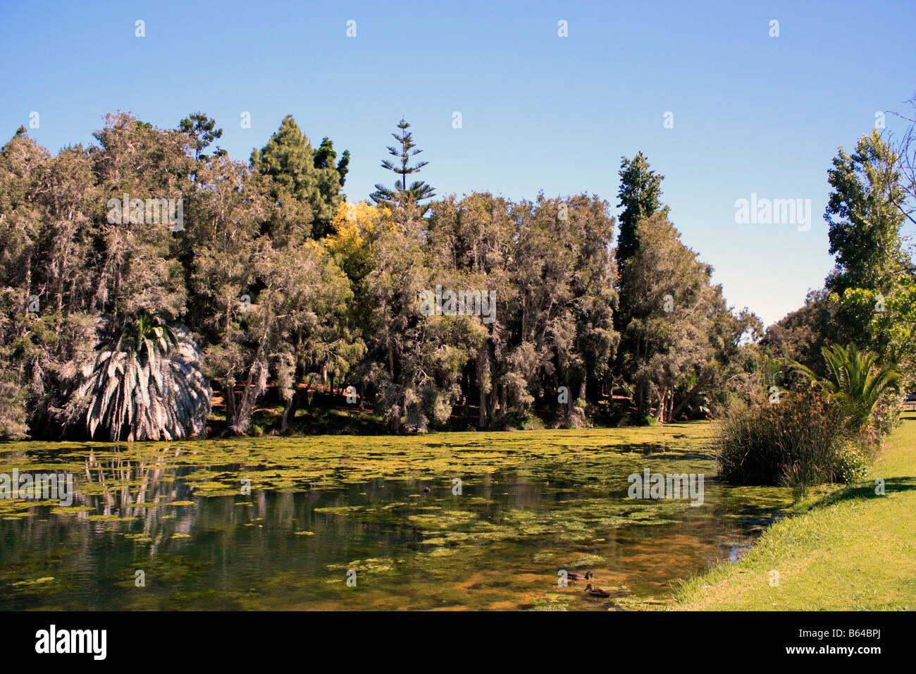 Stirling Park Perth Western Australia Stock Photo - Alamy