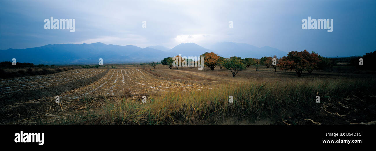Grass field near Baihua Mountain, Beijing, China Stock Photo - Alamy
