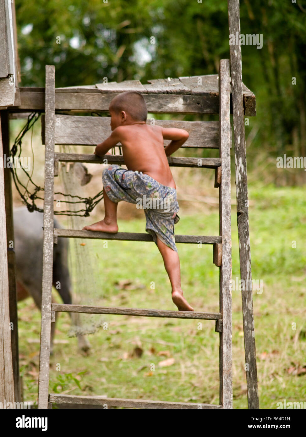 Boy climbing ladder asia hi-res stock photography and images - Alamy