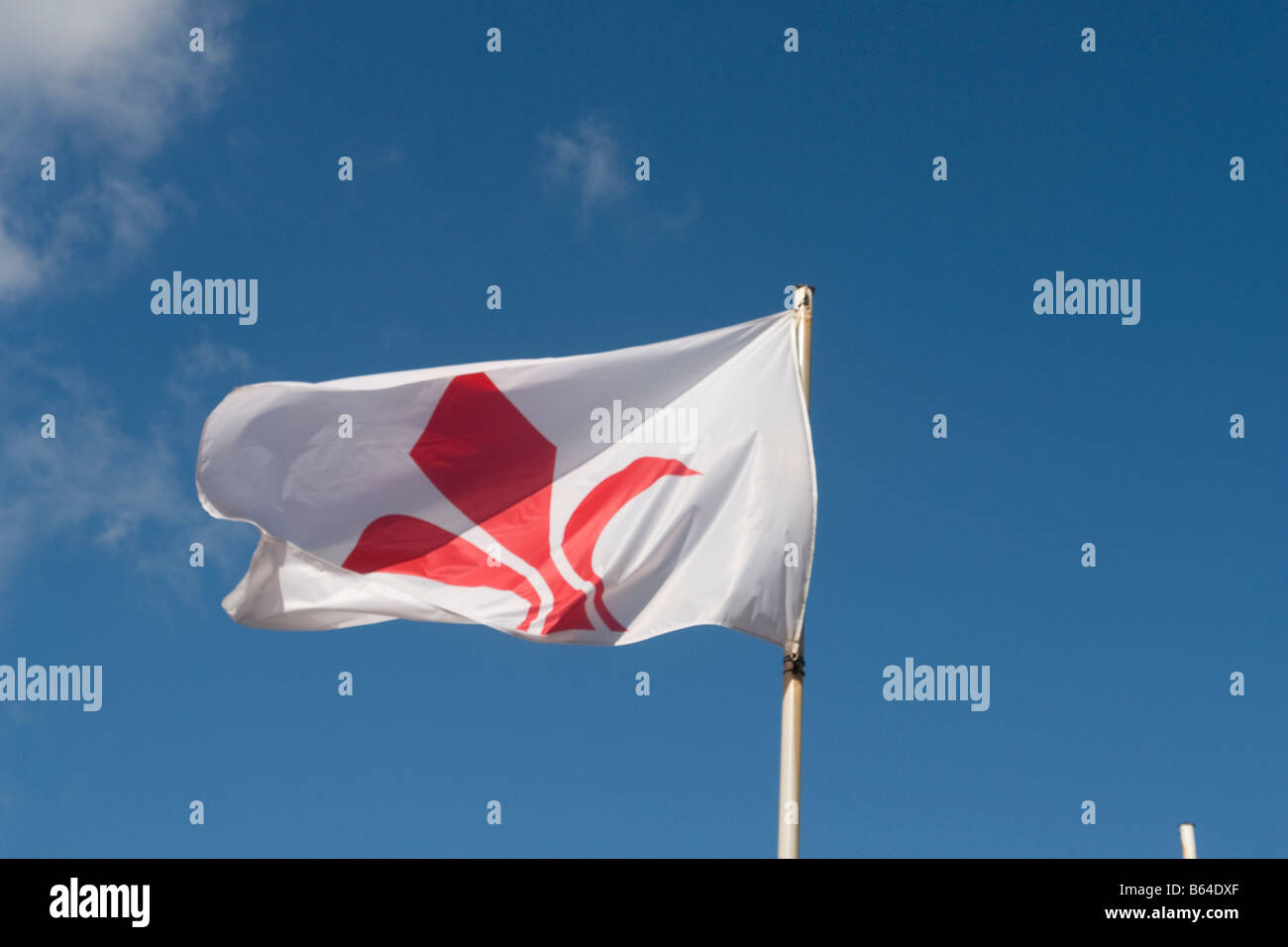 Flandres flag hi-res stock photography and images - Alamy
