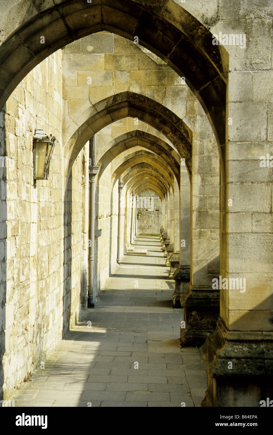 Winchester Cathedral, Hampshire, Arcade Stock Photo - Alamy