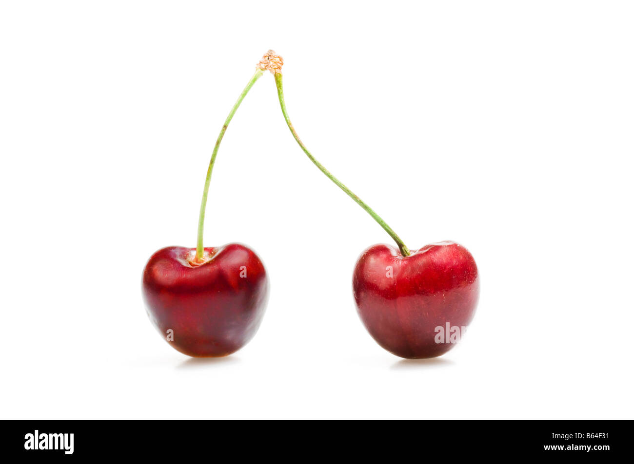 Two cherries against white background Stock Photo - Alamy