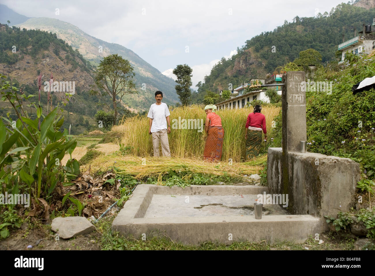 Nepalese farmers in the Modi River valley in the Annapurna range of the ...