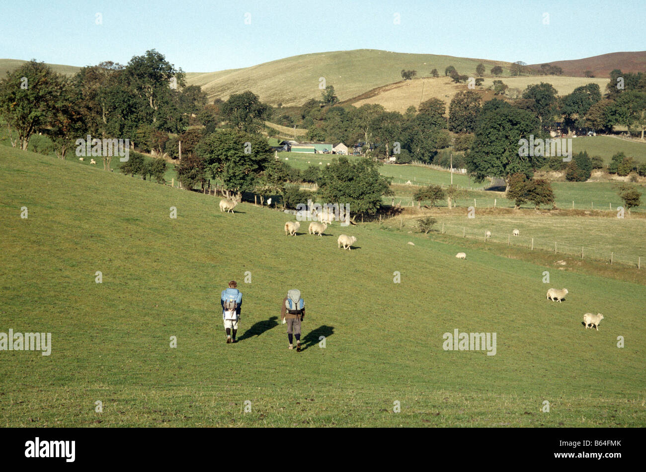 Walkers in a field hi-res stock photography and images - Alamy