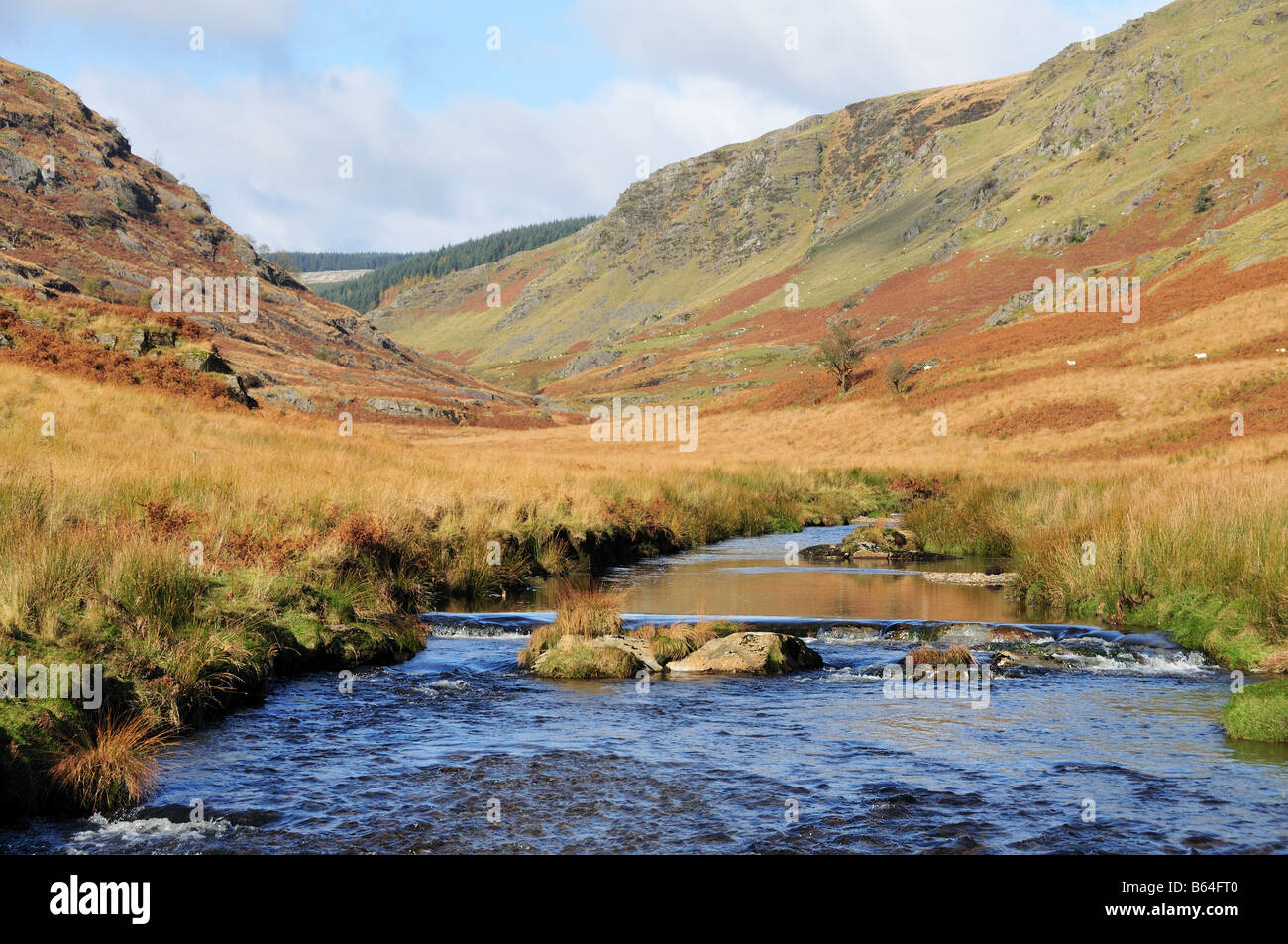 Abergwesyn wales hi-res stock photography and images - Alamy