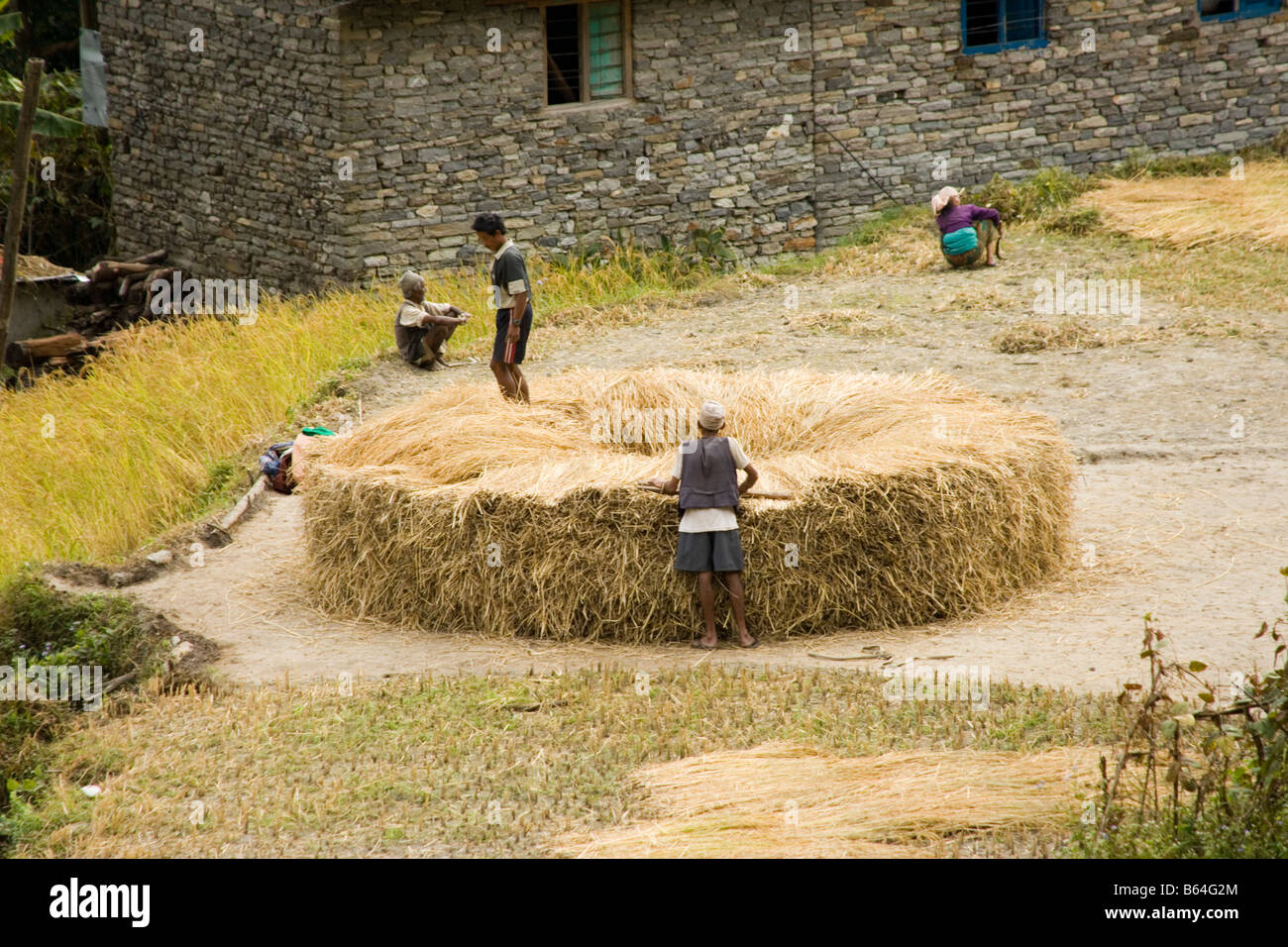 Mountain farmers hay harvest mountain hi-res stock photography and ...