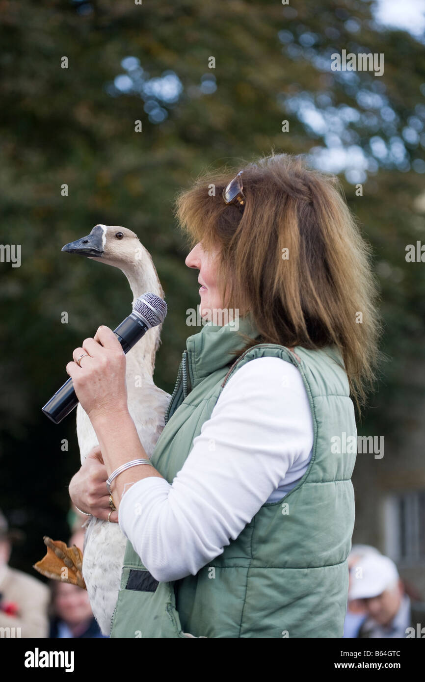 Geese show at Masham Sheep Fair Yorkshire England Stock Photo - Alamy
