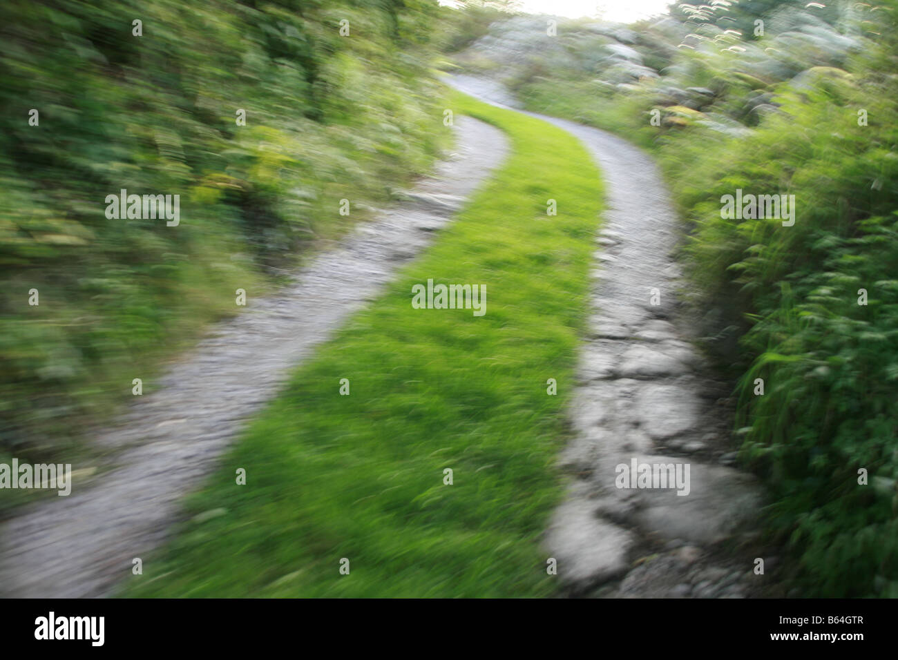 detail of rural country lane with motion blur Stock Photo - Alamy