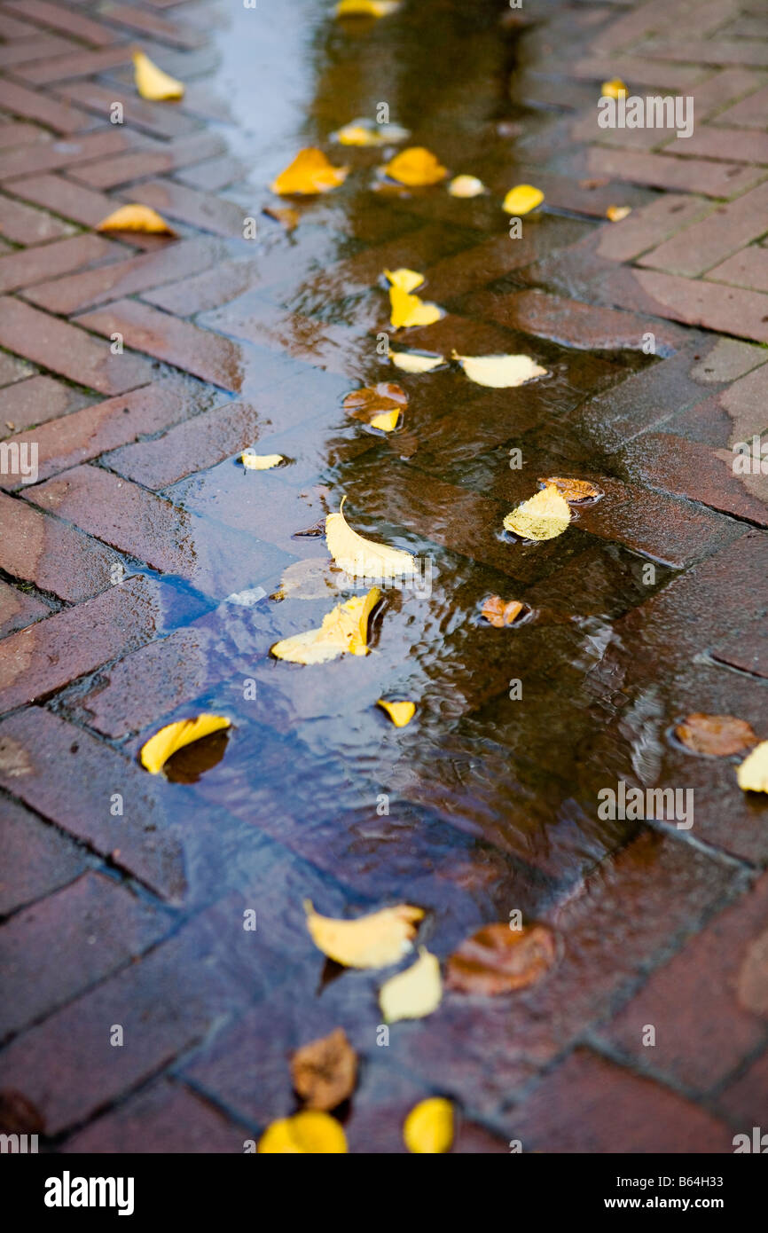 Uneven paving hi-res stock photography and images - Alamy