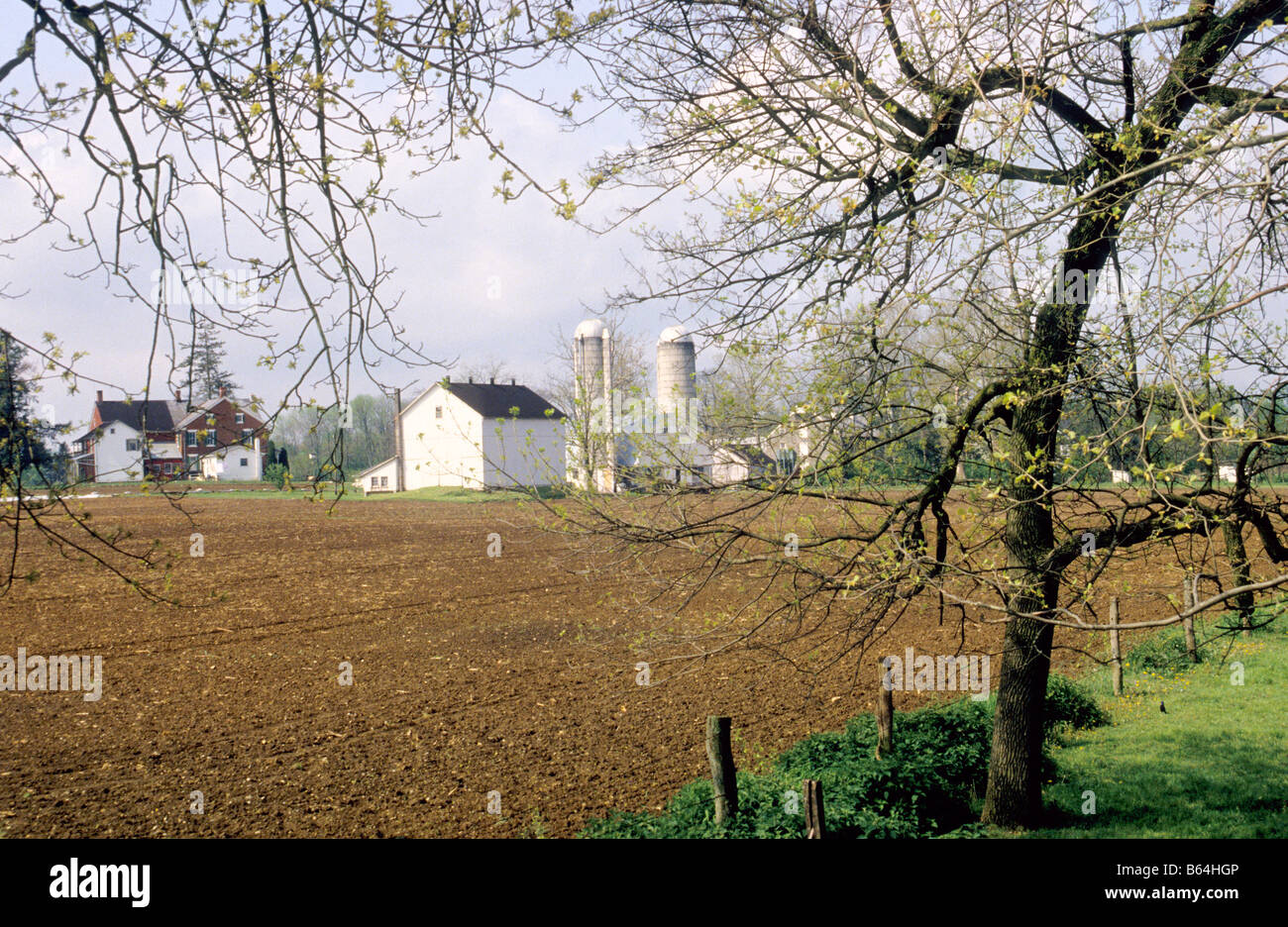 Amish farm in Pennsylvania Dutch (Deutsch) Country Stock Photo - Alamy