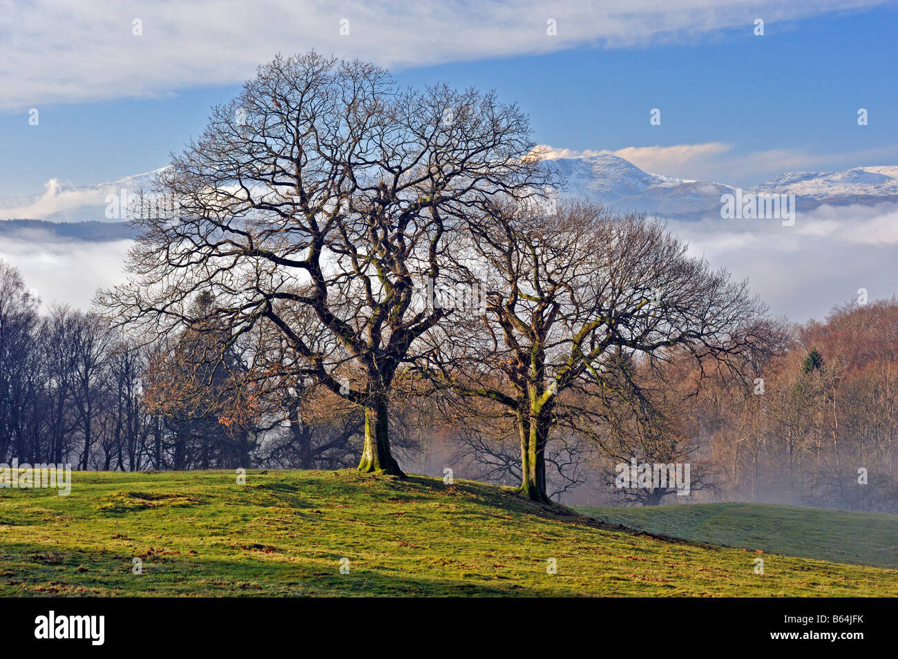 The Coniston Fells from Orrest Head. Lake District National Park ...