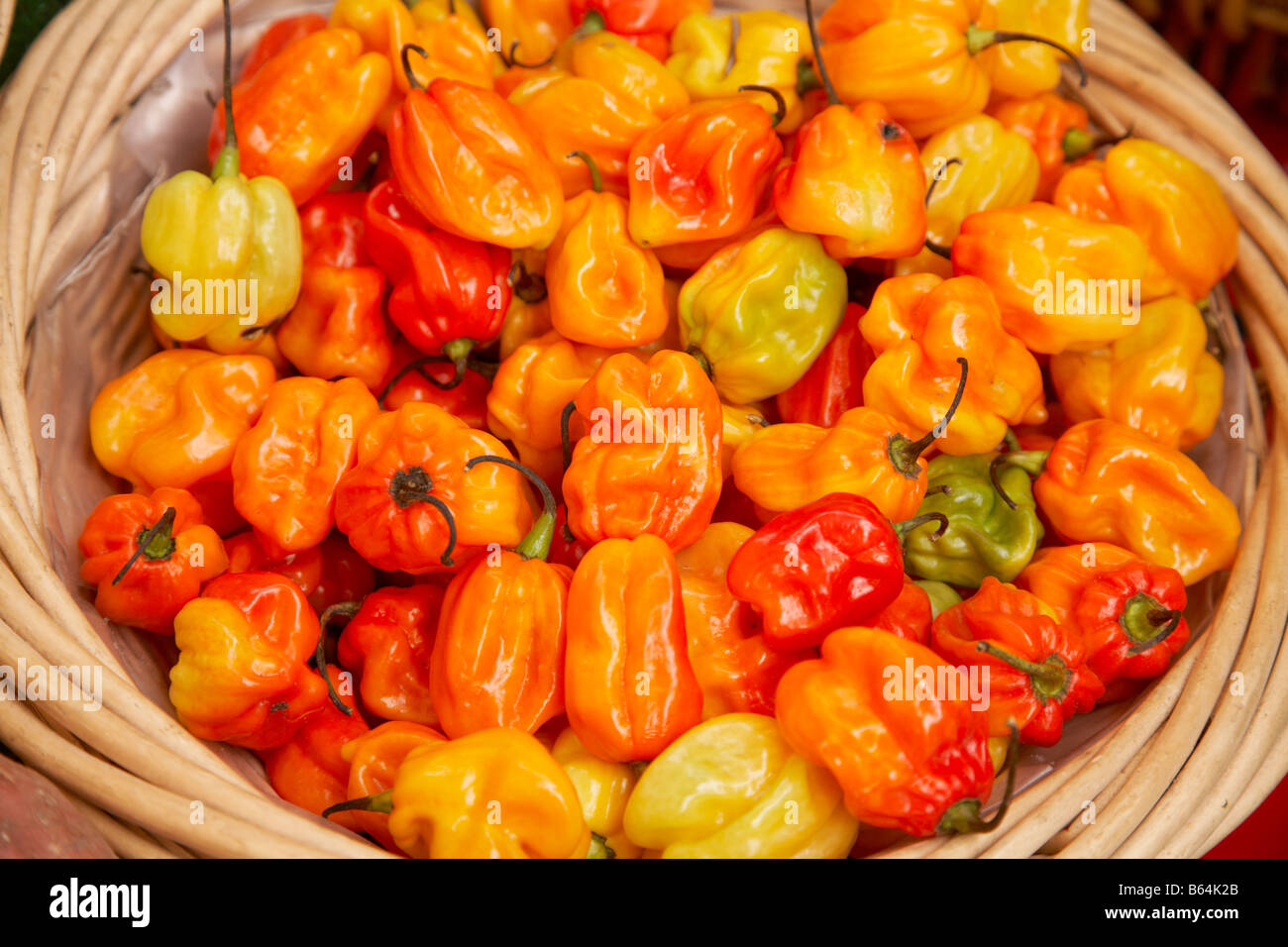 sweet chilli peppers in basket Stock Photo - Alamy