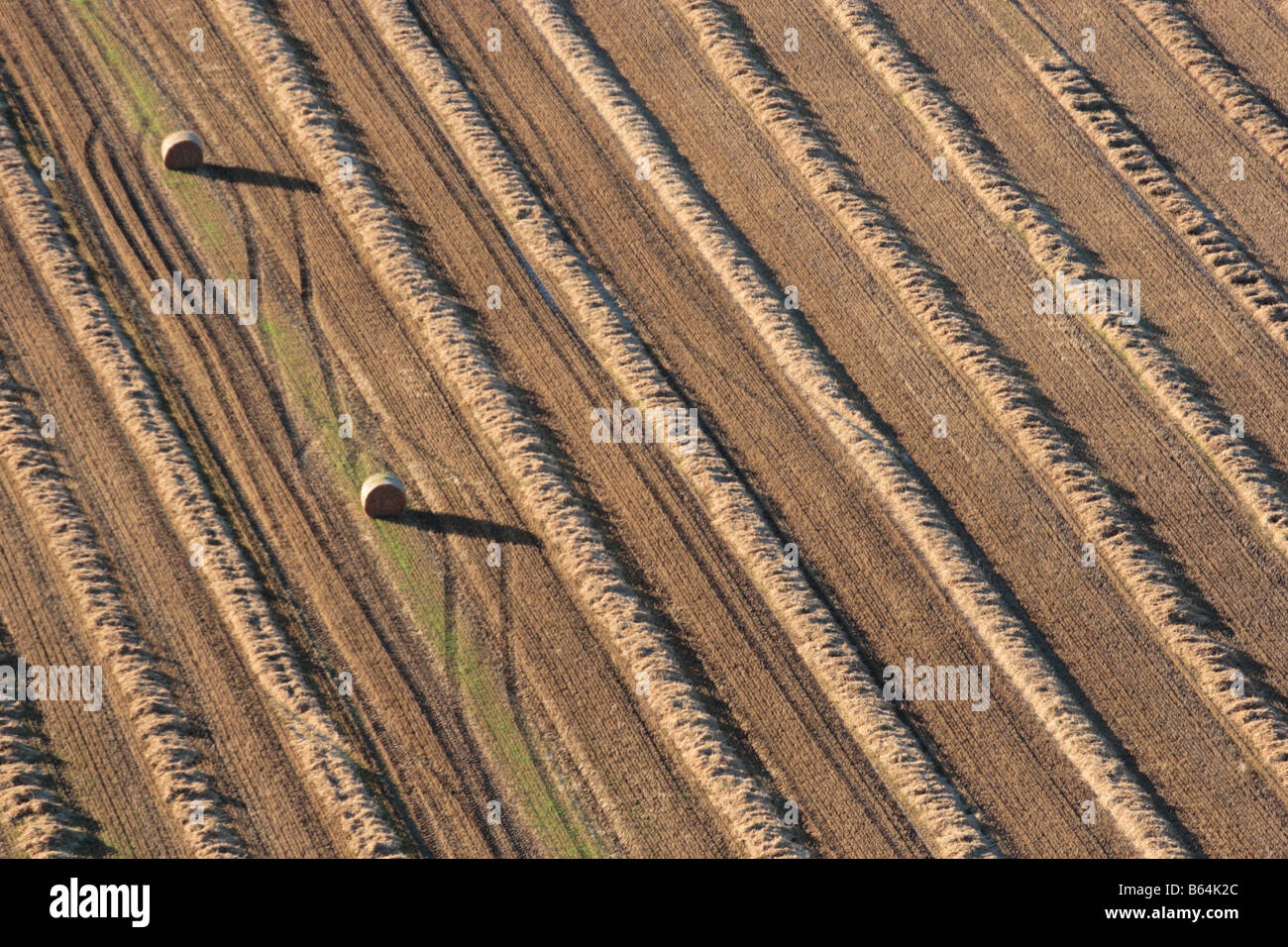 Aerial view of diagonal lines of golden harvested wheat straw, bales ...
