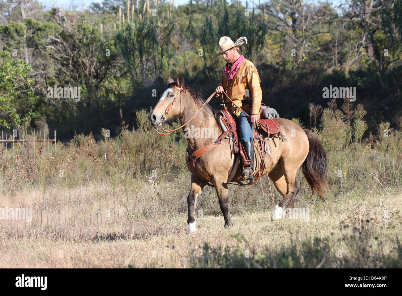 A cowboy riding his horse through the brush of Texas Stock Photo - Alamy