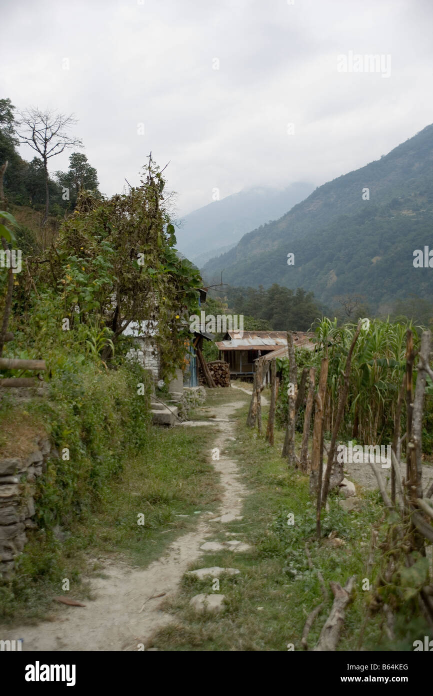 Farmhouse and fields in the Modi River valley in the Annapurna range of ...
