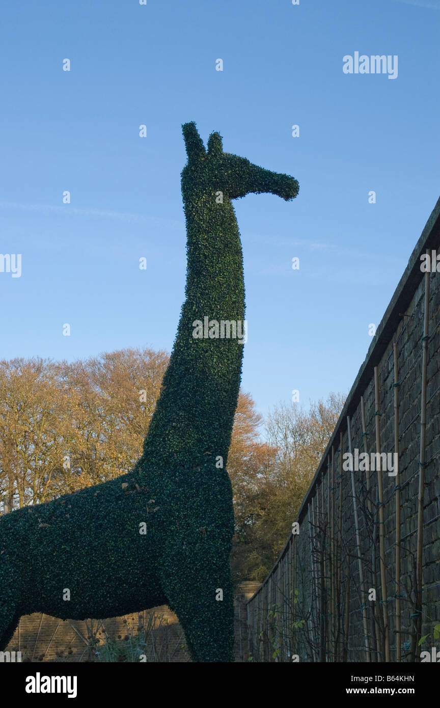 Topiary Giraffe peering over a wall at The Grove Hotel, Watford ...