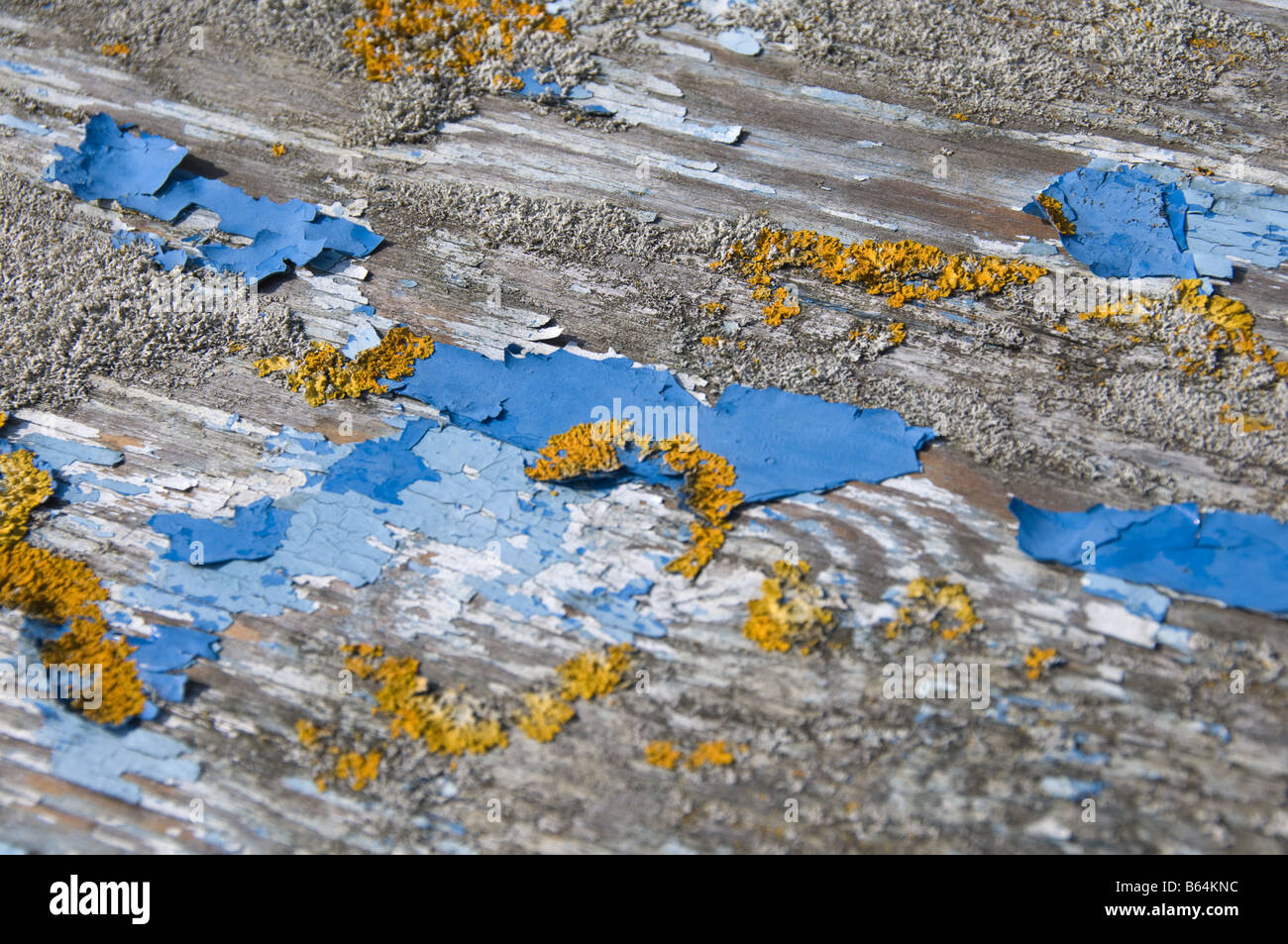 Cracked paint hull hi-res stock photography and images - Alamy