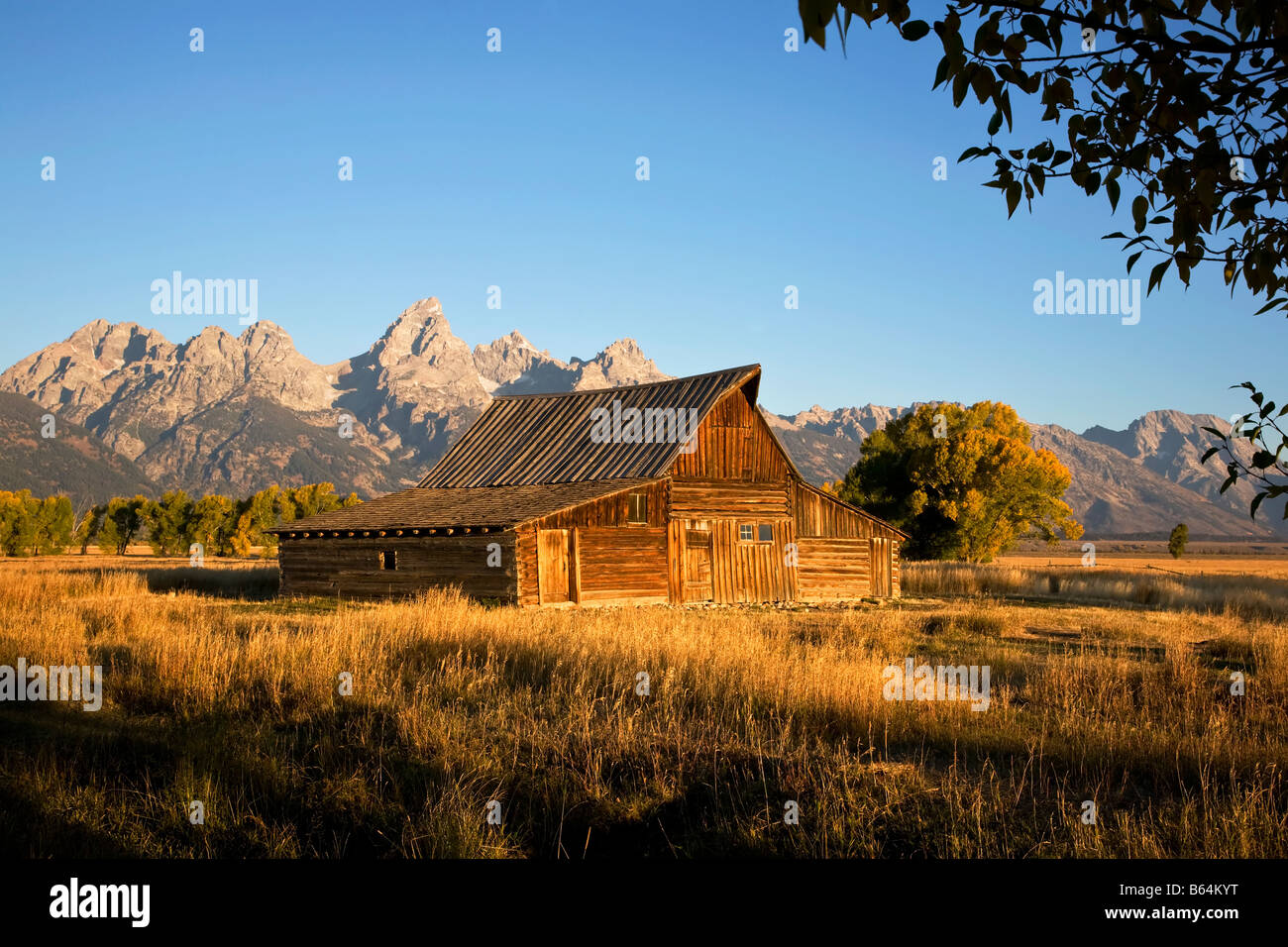 Mormon Barn, Moose, Grand Teton NP, USA Stock Photo - Alamy