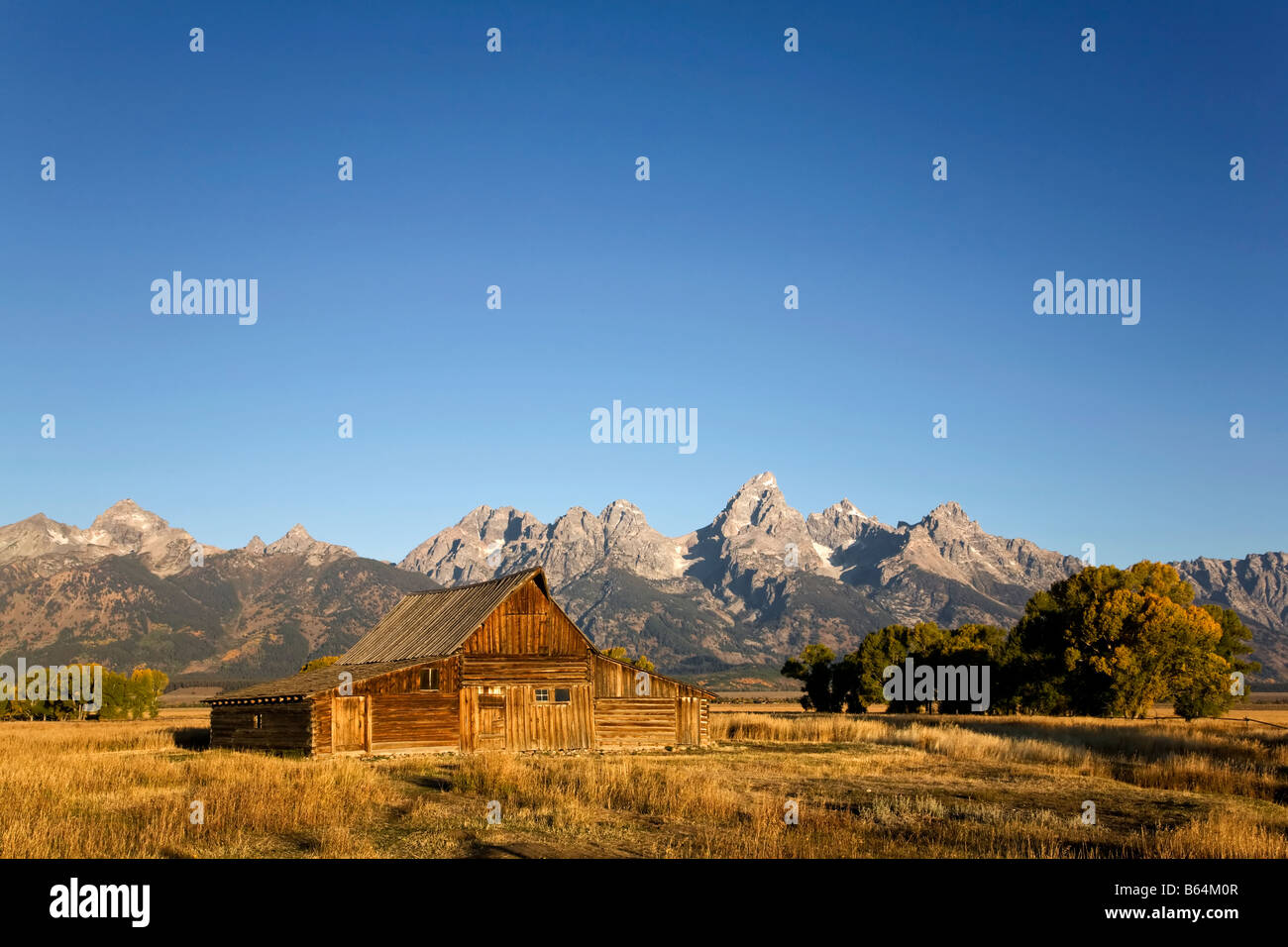 Mormon Barn, Moose, Grand Teton NP, USA Stock Photo - Alamy