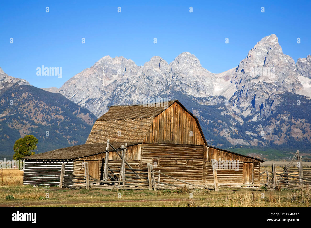 Mormon Barn, Moose, Grand Teton NP, USA Stock Photo - Alamy