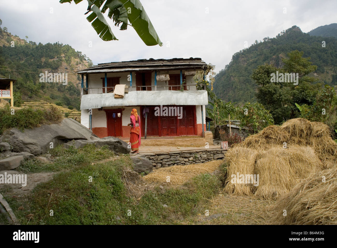 Farmhouse and a female farmer and fields in the Modi River valley in ...