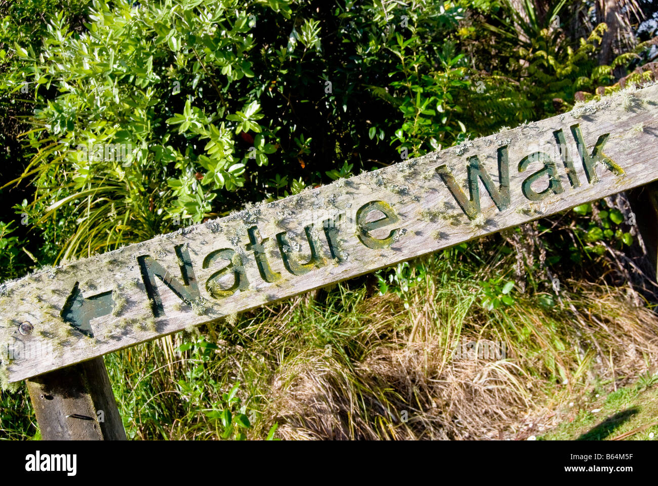 Nature walk vs hike hi-res stock photography and images - Alamy