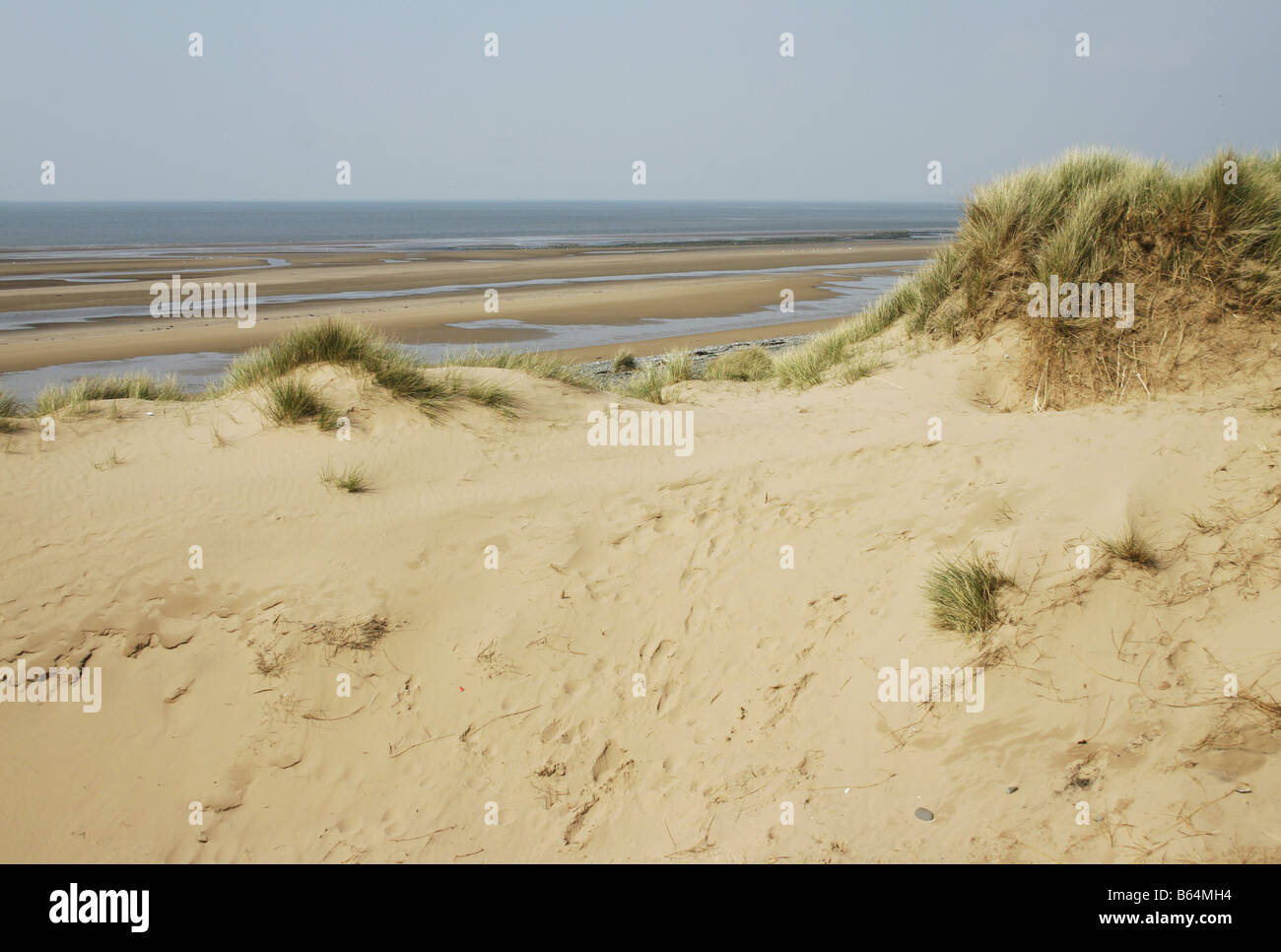 North Walney National Nature Reserve Cumbria Stock Photo - Alamy