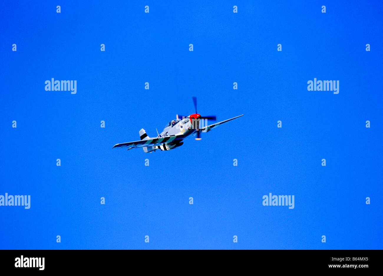 P-51 Mustang in Flight Stock Photo - Alamy