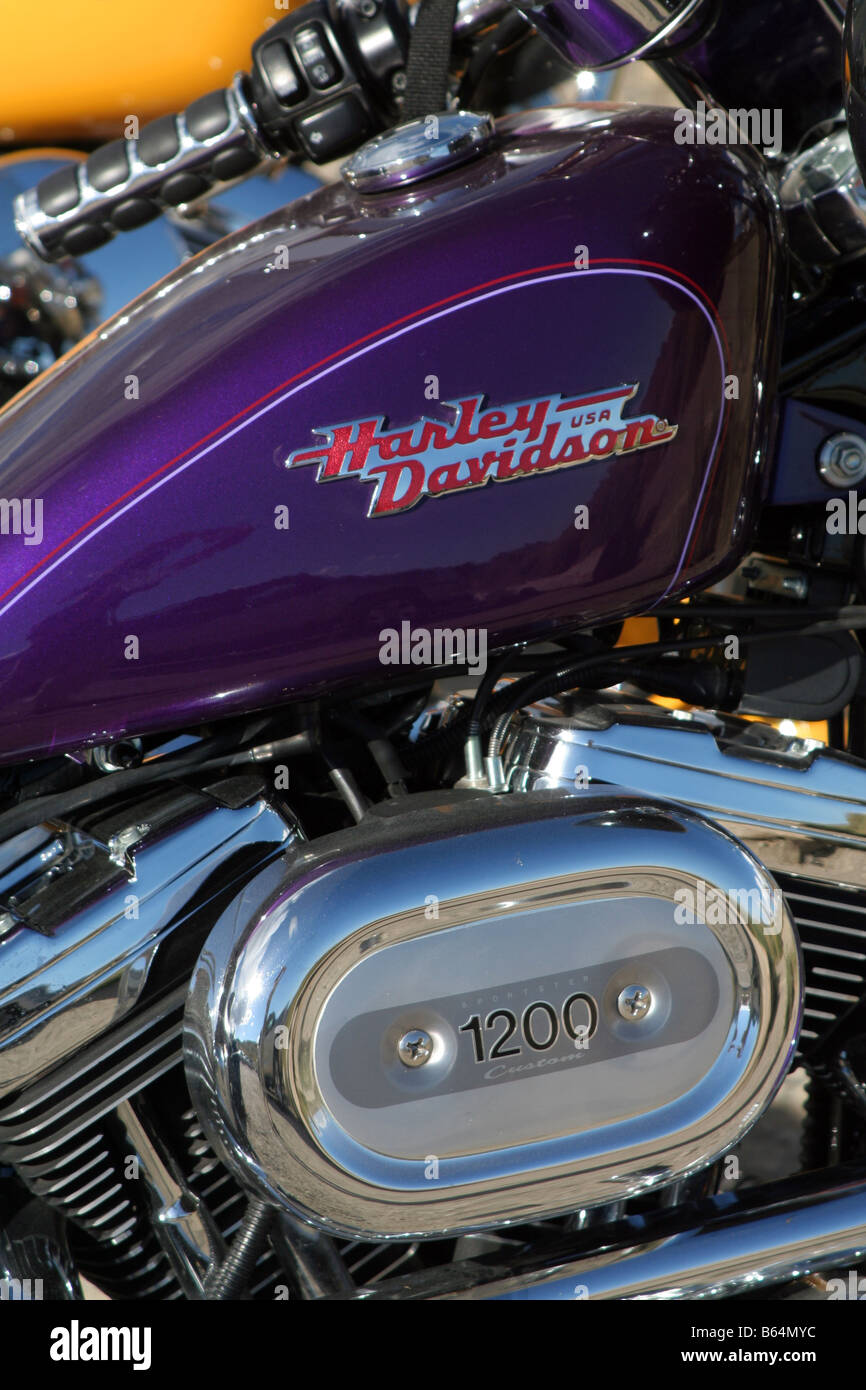 Purple Harley Davidson