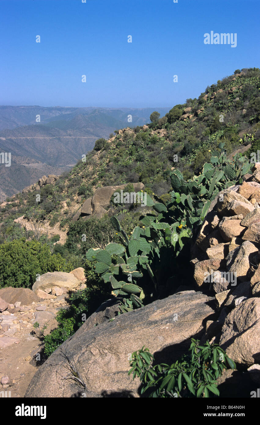 Landscape above Nesafit, near Debre Bizen in the Central Highlands ...