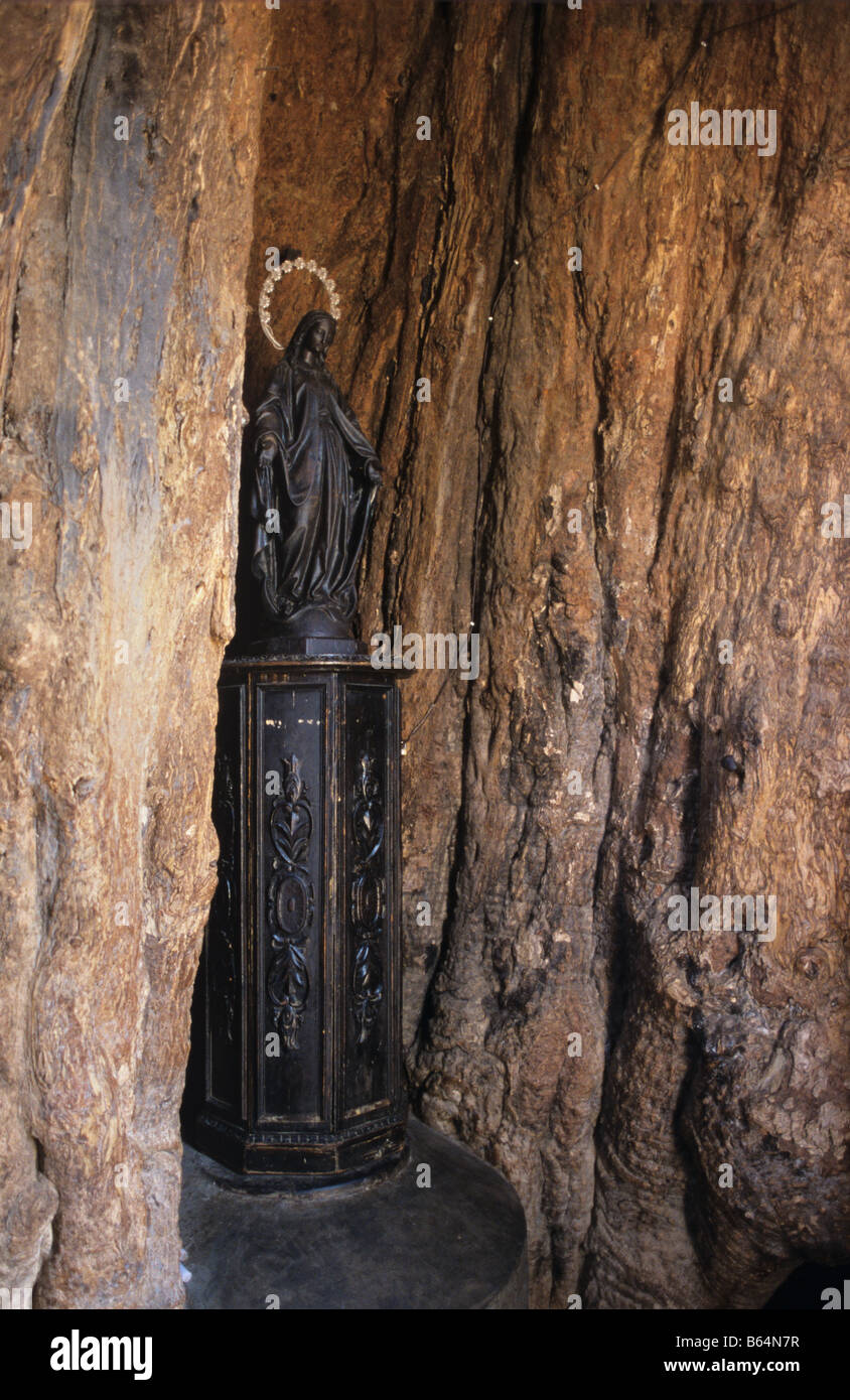 Statue or shrine of Christ inside a hollow baobab tree, Keren, Eritrea ...