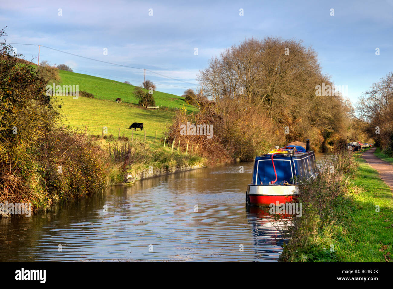 Blue and red narrowboat moored on the Kennet and Avon Canal at ...