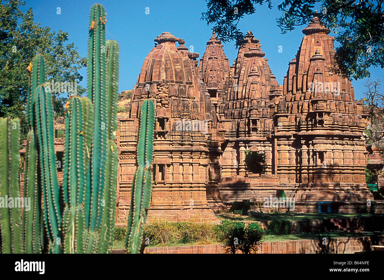 India Rajasthan Jodhpur Mandore Gardens and cactus Stock Photo - Alamy