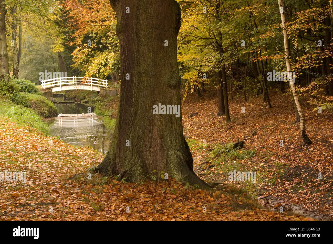 Virginia water surrey hi-res stock photography and images - Alamy