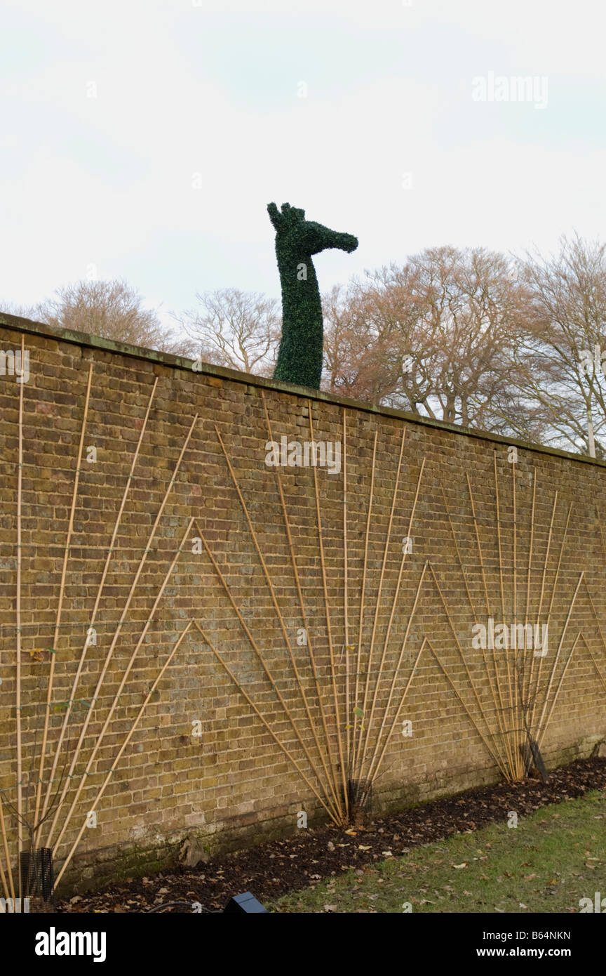 Topiary Giraffe peering over a wall at The Grove Hotel, Watford ...