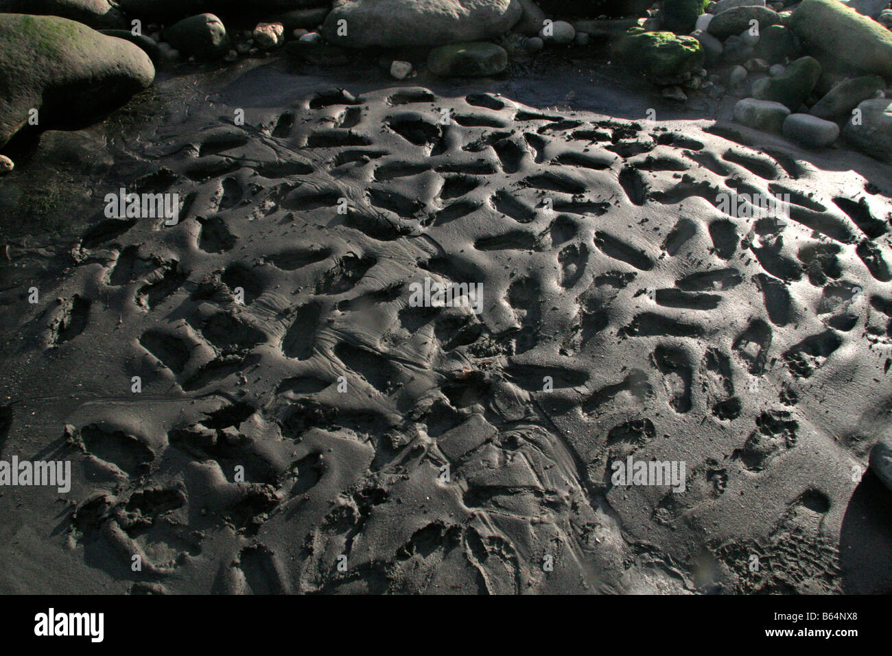 Footprints in the sand Stock Photo - Alamy