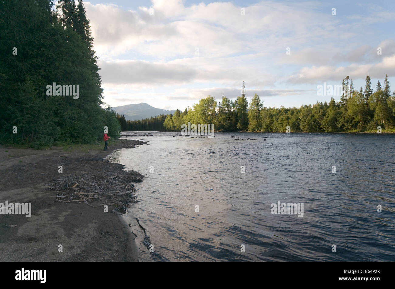 Boy fishing in creek hi-res stock photography and images - Alamy