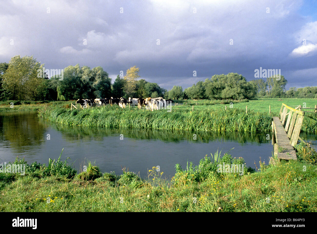 River Test Stockbridge Hampshire England UK green English landscape ...