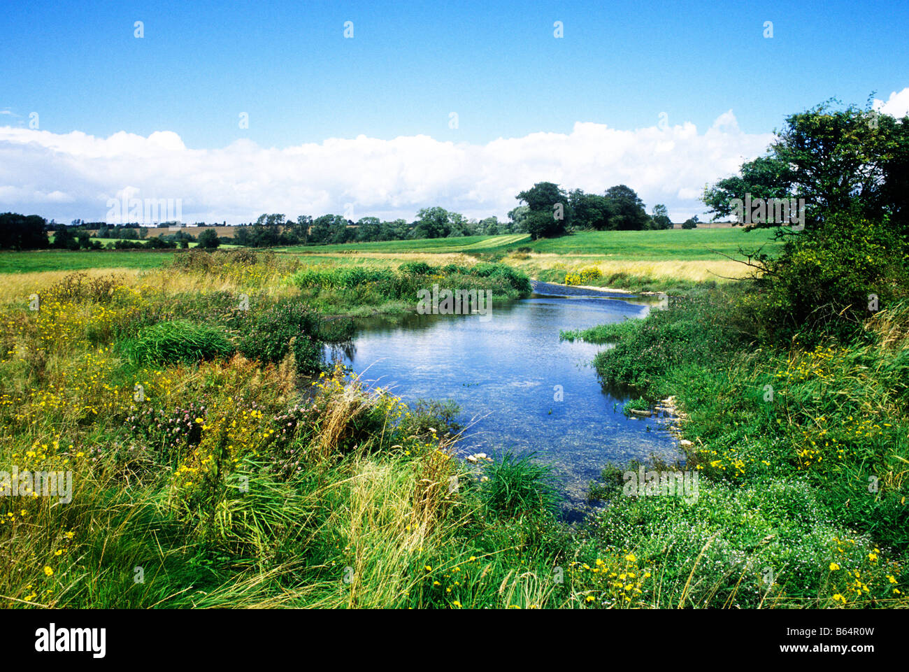 Source of River Test Ashe Hampshire England UK pond spring green fields ...