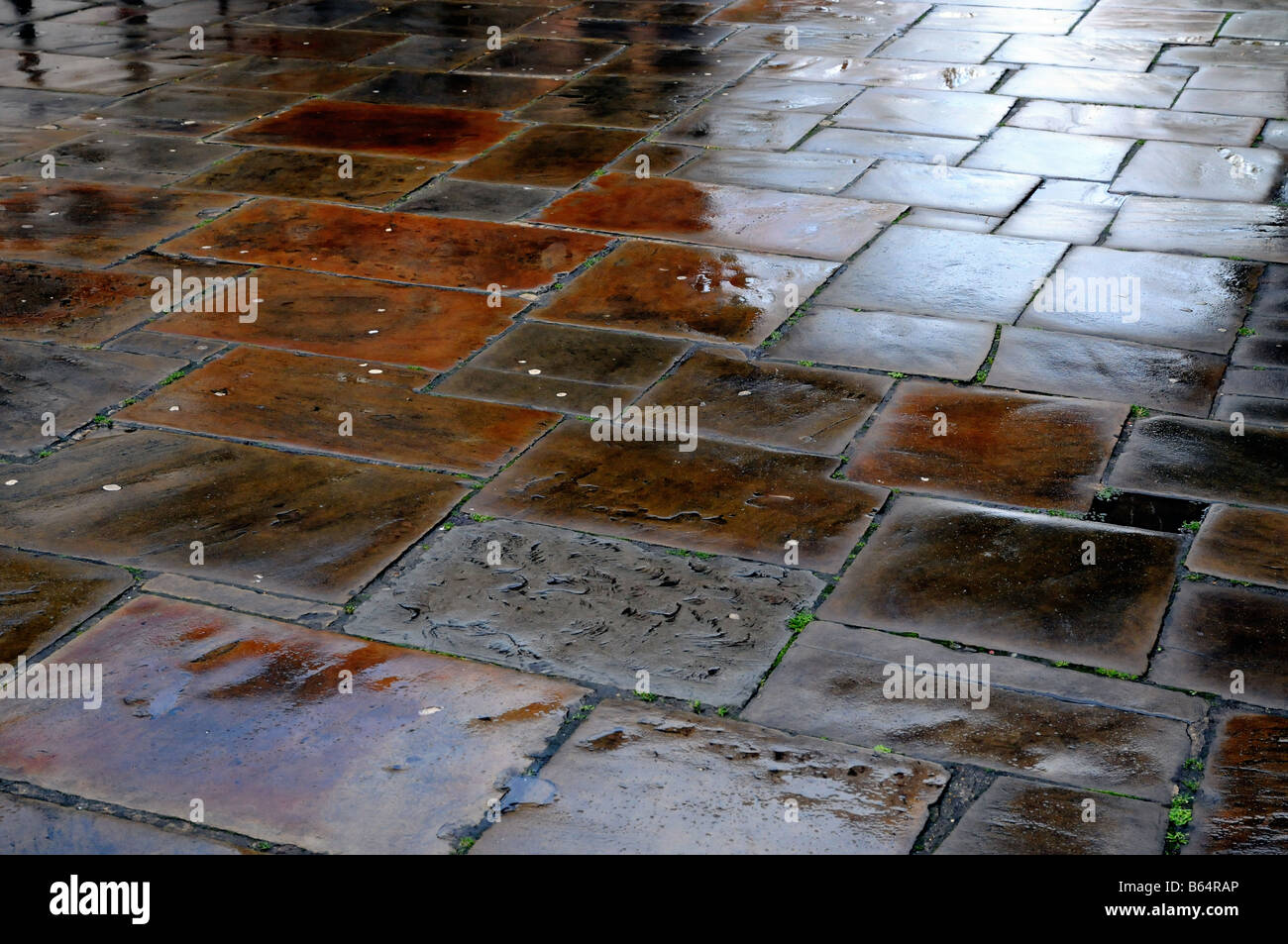 A flagstone pavement shines in the aftermath of a rain storm Stock ...