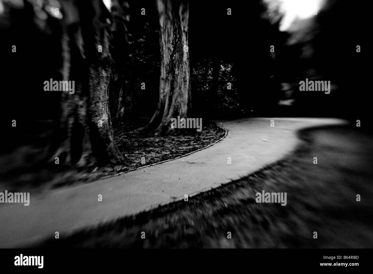 path leading through trees Stock Photo - Alamy